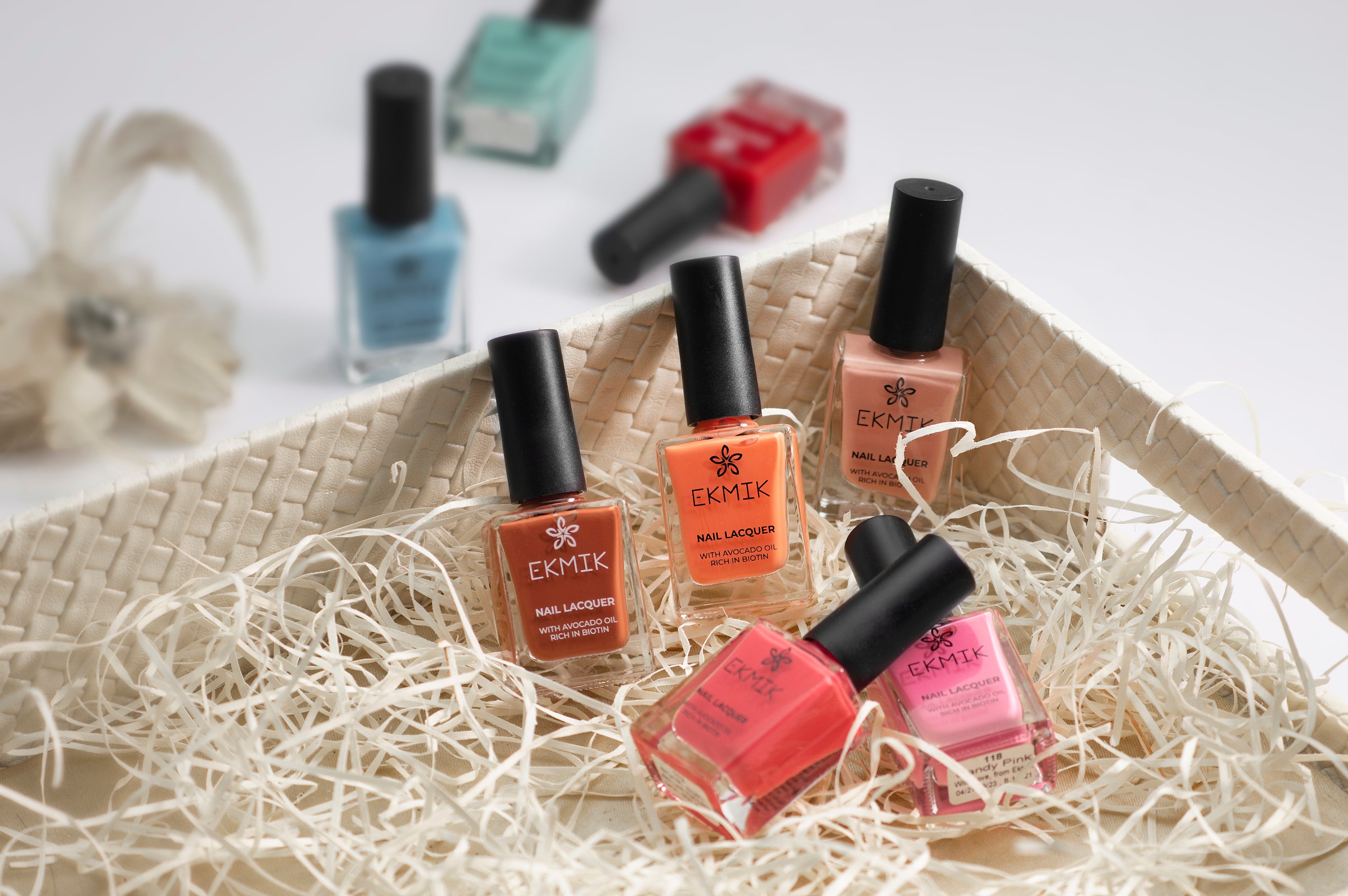Nail Polish | Best Nail Polish Buy Online | Ekmik.com